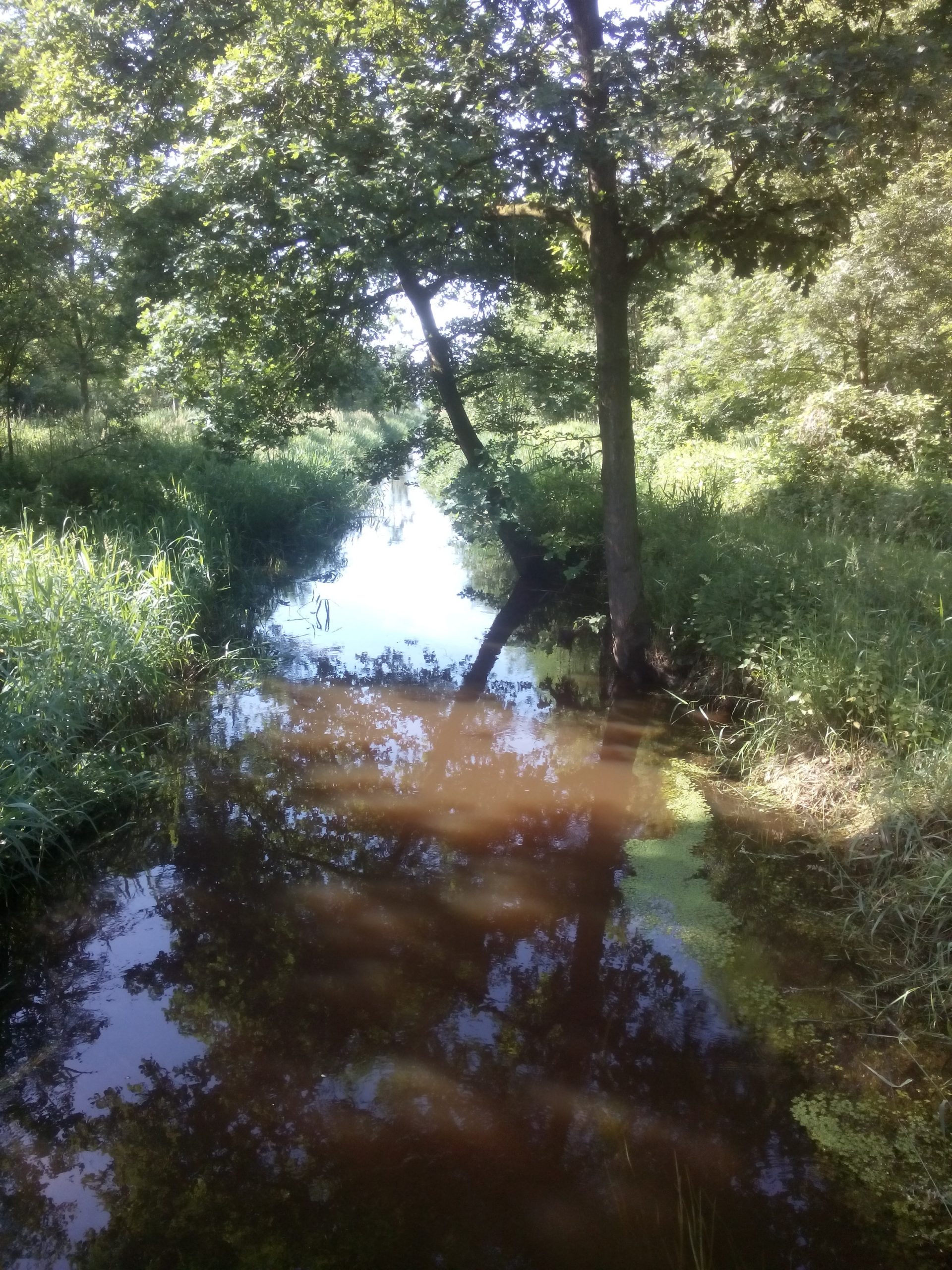 Natuurgebied De Goort | Limburgs Landschap