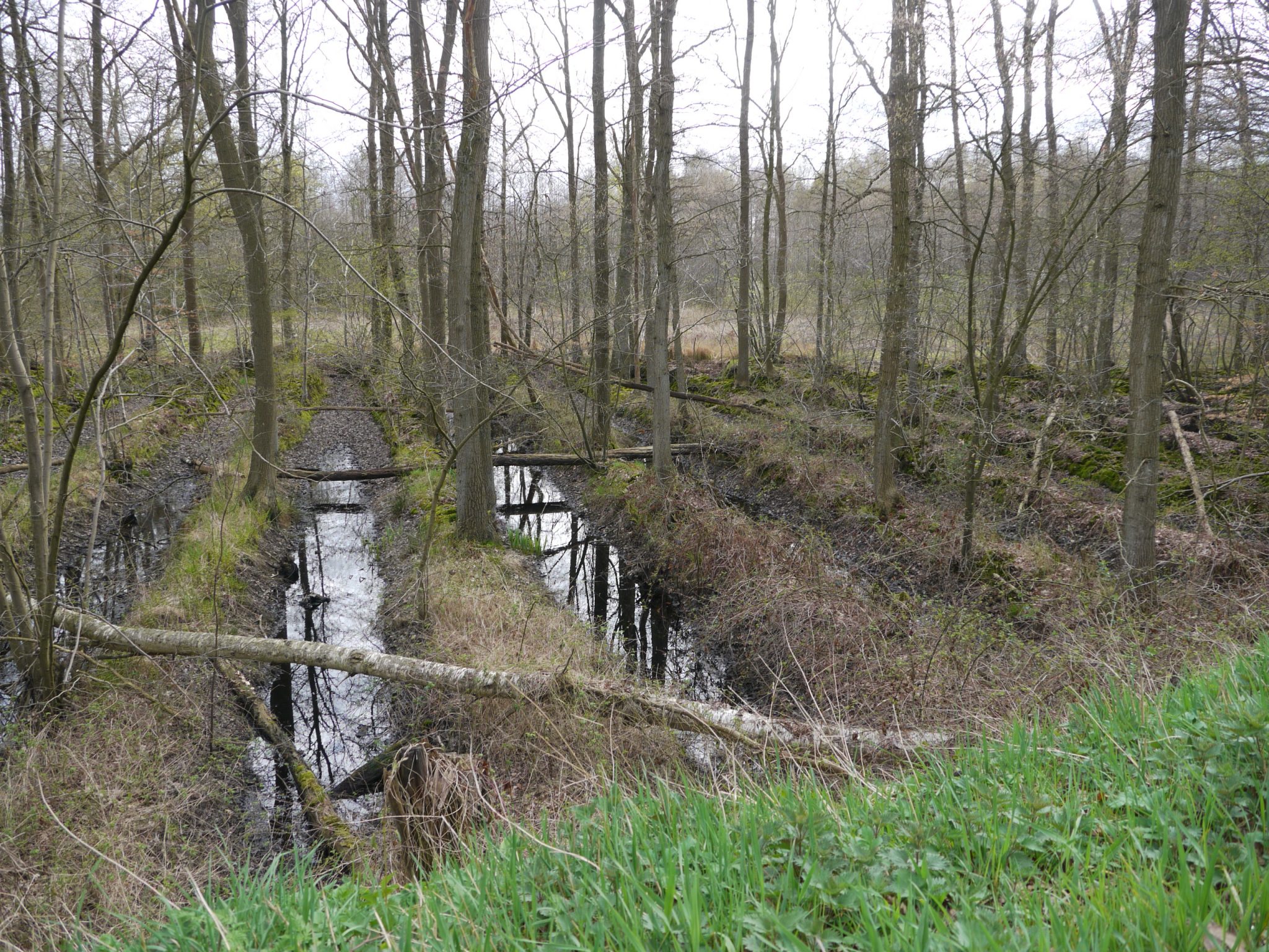 Natuurgebied De Goort | Limburgs Landschap