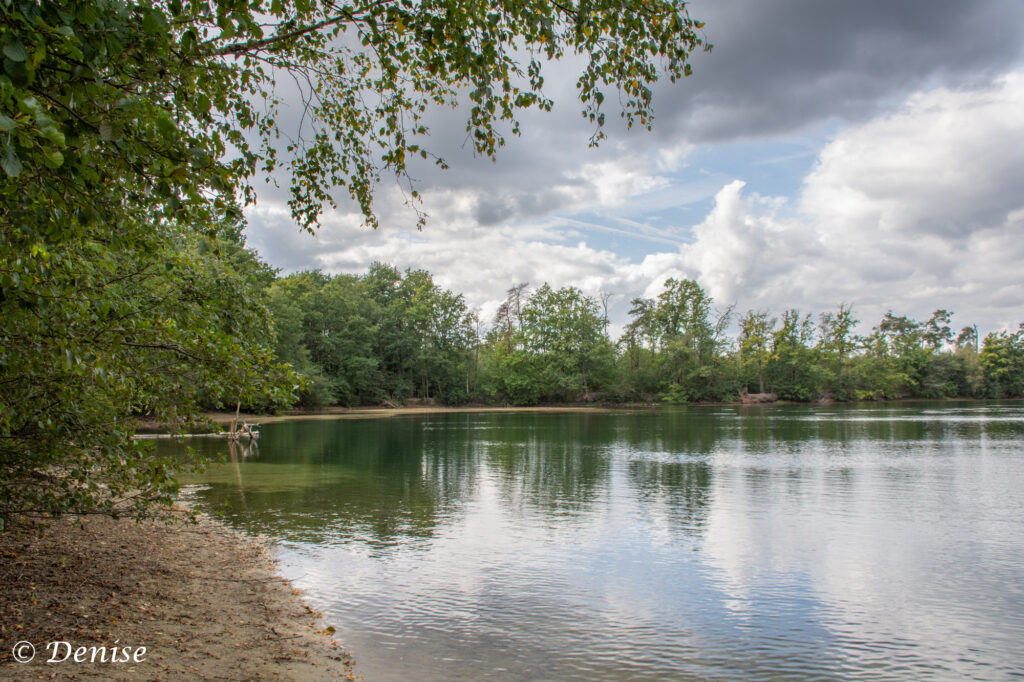 UITGESTELD Spraakmakende Natuur - Lummen | Limburgs Landschap